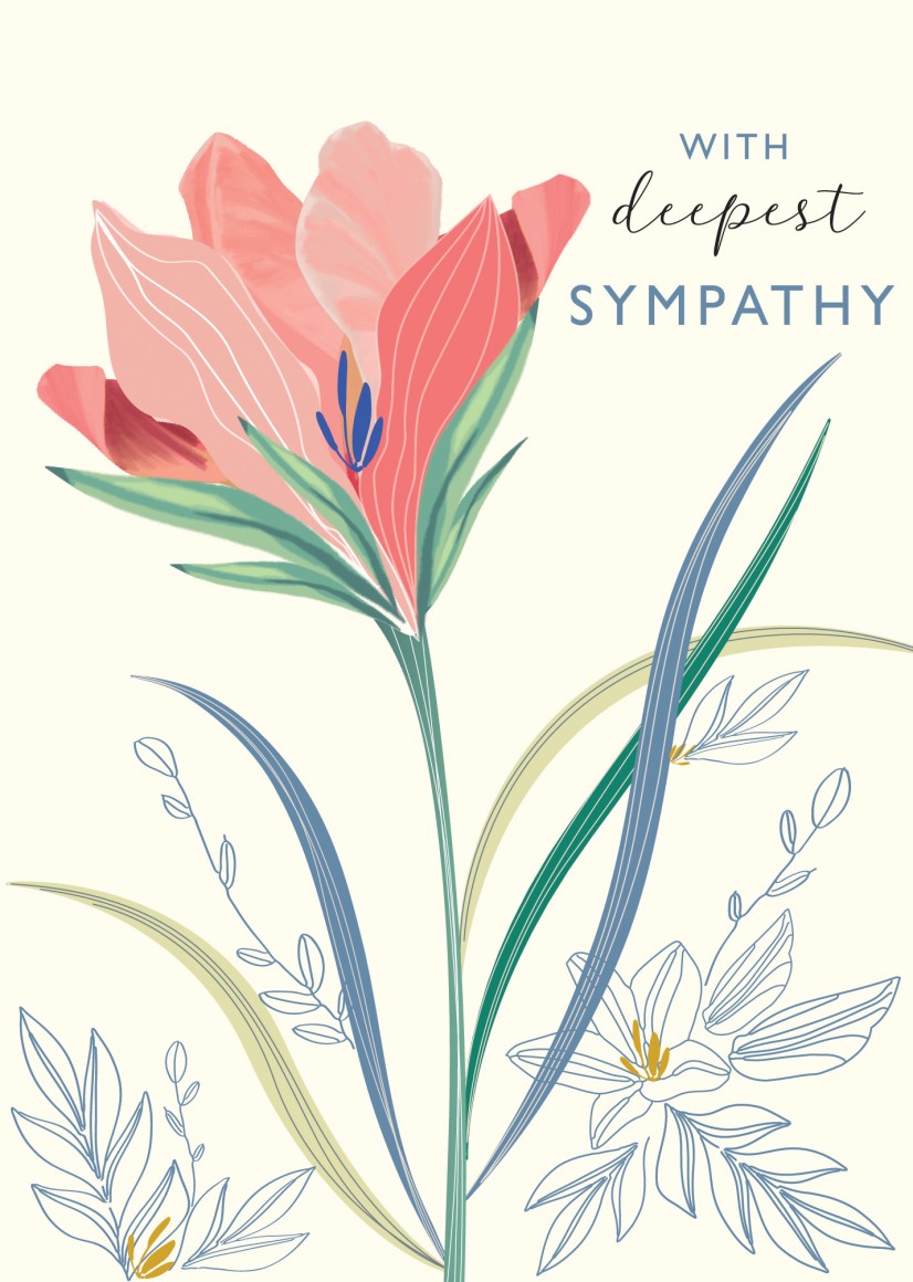 Products - Compassion Cards